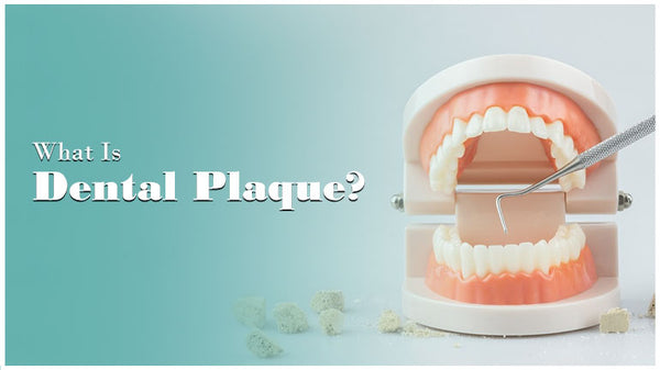 What Is Dental Plaque - GREAT ORAL HEALTH