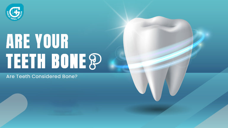 Are your Teeth Bones | Teeth vs Bone – GREAT ORAL HEALTH
